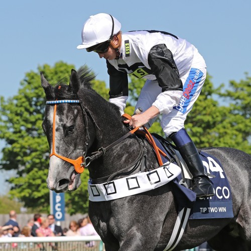 Stream Quick interview with owner-breeder Anne Cowley after Tip Two Win ...