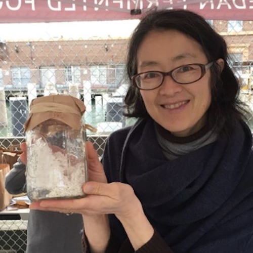 Stream Meet the famous Japanese mold that flavors unexpected dishes by ...