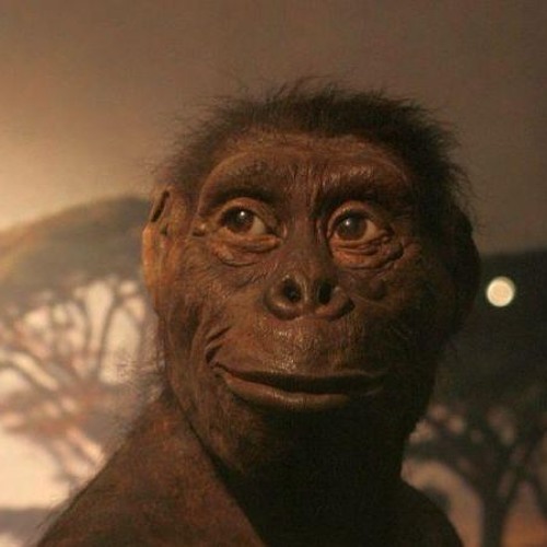 Stream Lucy Was A Monkey by Travis Live | Listen online for free on ...