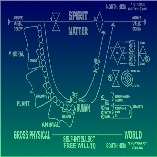 Stream I Am Roaring From The Top Of My Soul by Moss & Microfauna ...