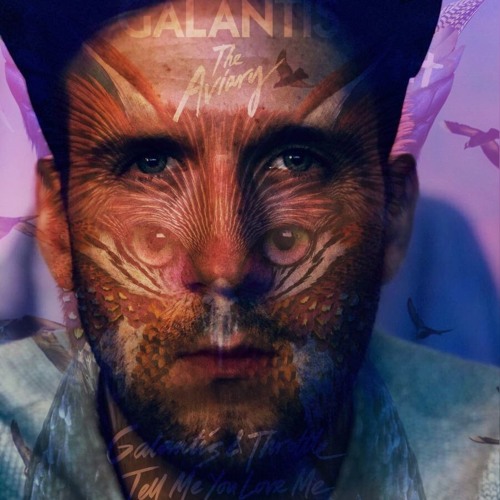 Stream Galantis X Throttle Tell Me You Love Me Tiaimo Remix By 8706
