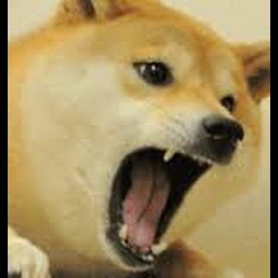 Stream Dogequest by Aesthetic Power Provider | Listen online for free ...