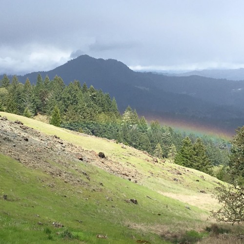 Stream Sanctuary Forest Gives Water Forbearence Tips For the Mattole ...