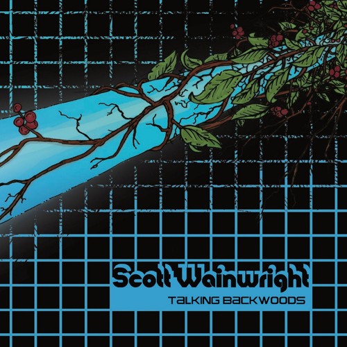 Stream Backwoods Progress Blues (Instrumental) : SCOTT WAINWRIGHT by ...