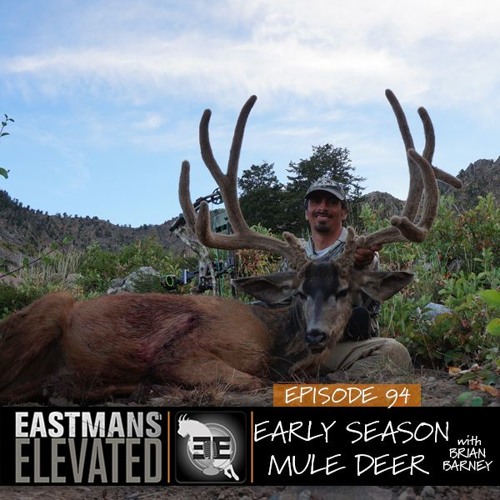 Stream episode Episode 94: High Country Bucks with Brian Barney by ...