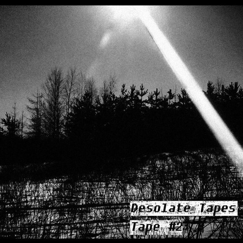 Stream Everybody Dies Alone by Desolate Tapes | Listen online for free ...