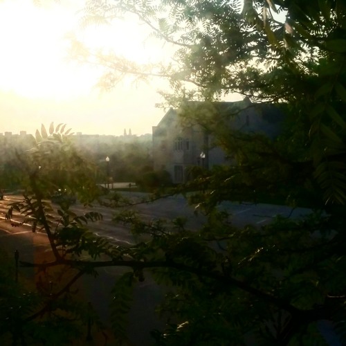 Stream Bloom Black by Jake Newbold (ollld stuff) | Listen online for ...