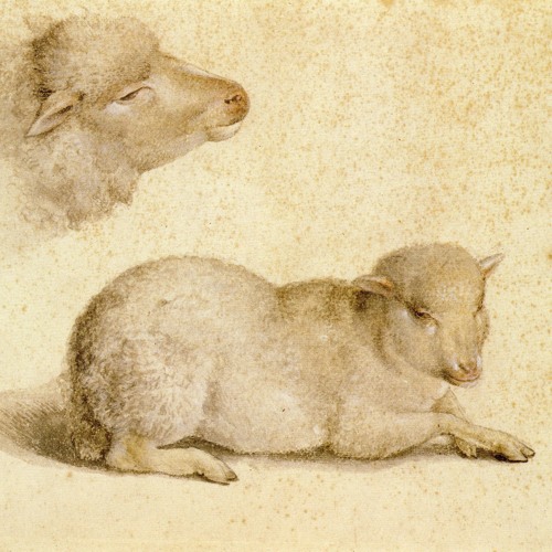 William Blake The Lamb