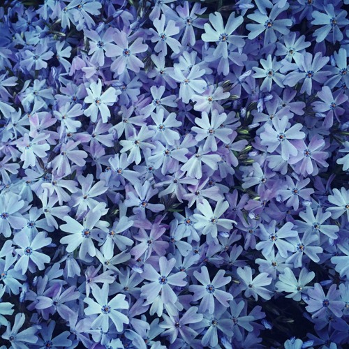 Stream Crystal Rosatti | Listen to Songs from winter 2018 playlist ...