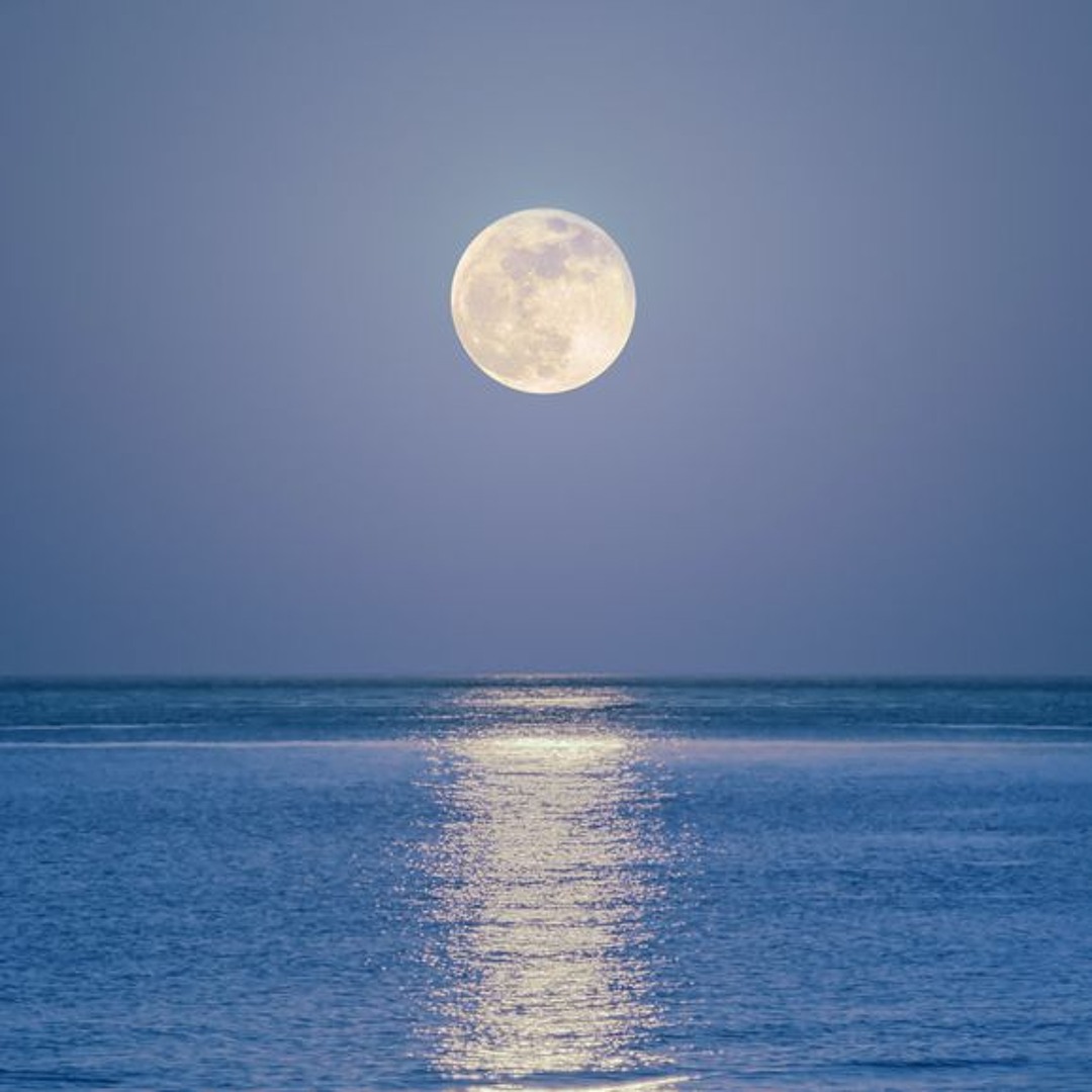 Stream Sparta Moon Ray Base by JVids24 | Listen online for free on ...