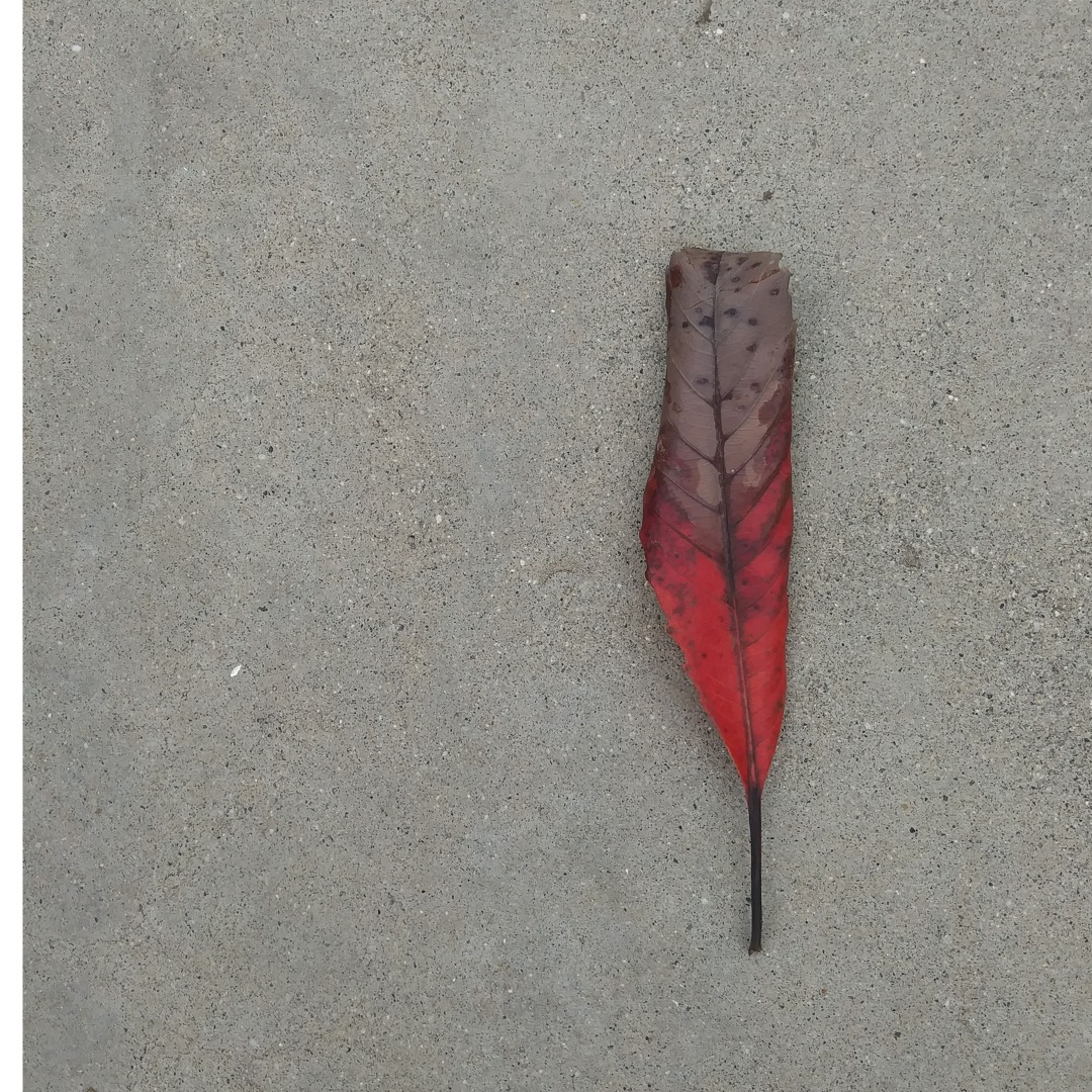 Stream Eugeniu Prodan | Listen to Thoughts On Sticky Notes playlist ...