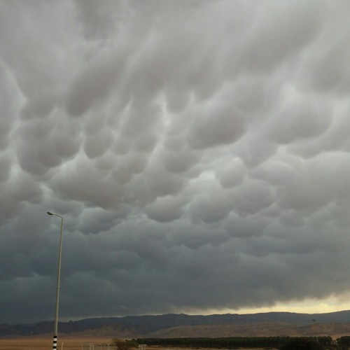 Stream D.C.S - (David Goren & Chevy-Dune de Beer) by Chevy-Dune de Beer ...