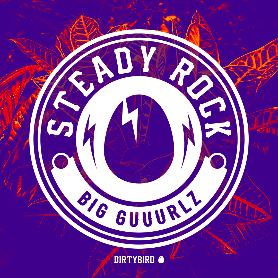 Stream [BIRDFEED EXLCUSIVE] Steady Rock - Big Guuurlz by DIRTYBIRD ...