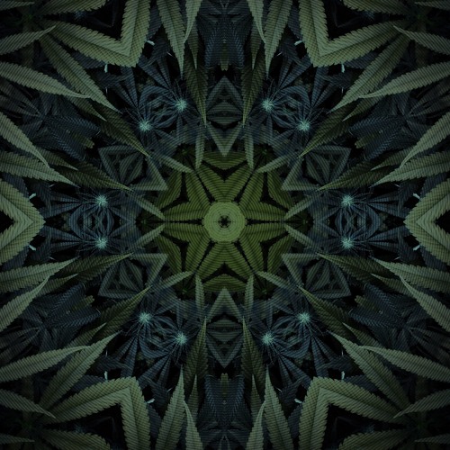 Stream Jfhg by doily0 | Listen online for free on SoundCloud