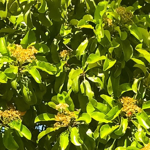 Stream VHS Sunrise by Synthetic Syndicate | Listen online for free on ...