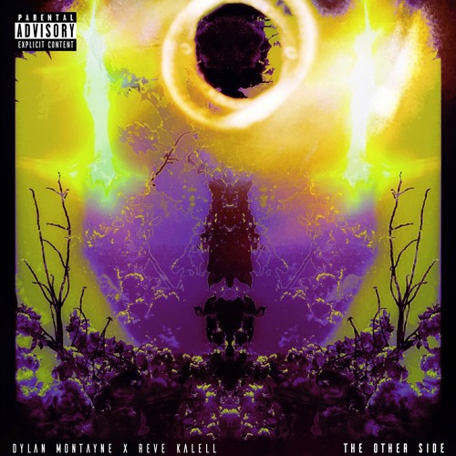 Stream Dylan Montayne x Reve Kalell - THE OTHER SIDE by Dylan Montayne ...