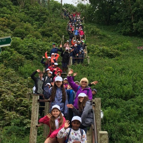 Stream Folabomi day 4.wav by Warren Road Primary School | Listen online ...