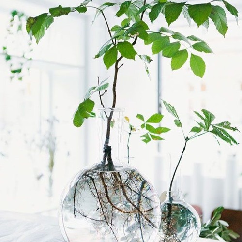 Stream Digital Media and its Impact on Education - EJP by Emma Pines 1 ...