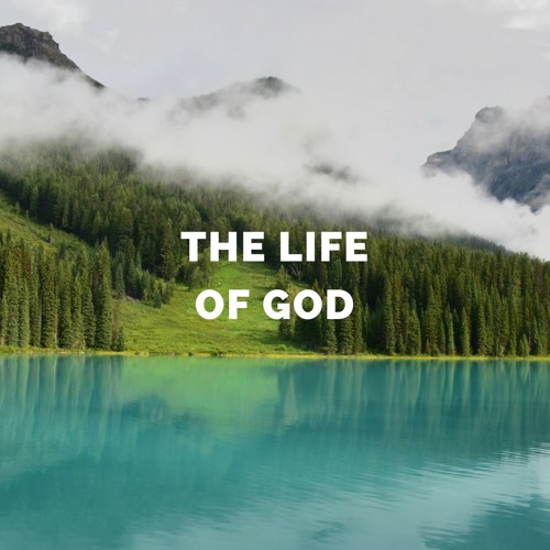 Stream The Life Of God by Bible Revelation Ministry | Listen online for ...