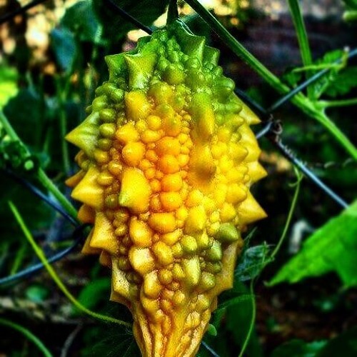 Stream Loufoquerie digestive (no master) by Mahault | Listen online for ...