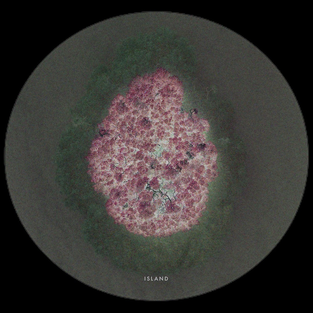 Stream NTBR - ISLAND by NTBR | Listen online for free on SoundCloud