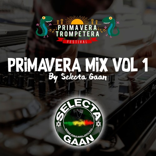 Stream Primavera Mix Vol 1 by SELECTA GAAN | Listen online for free on ...