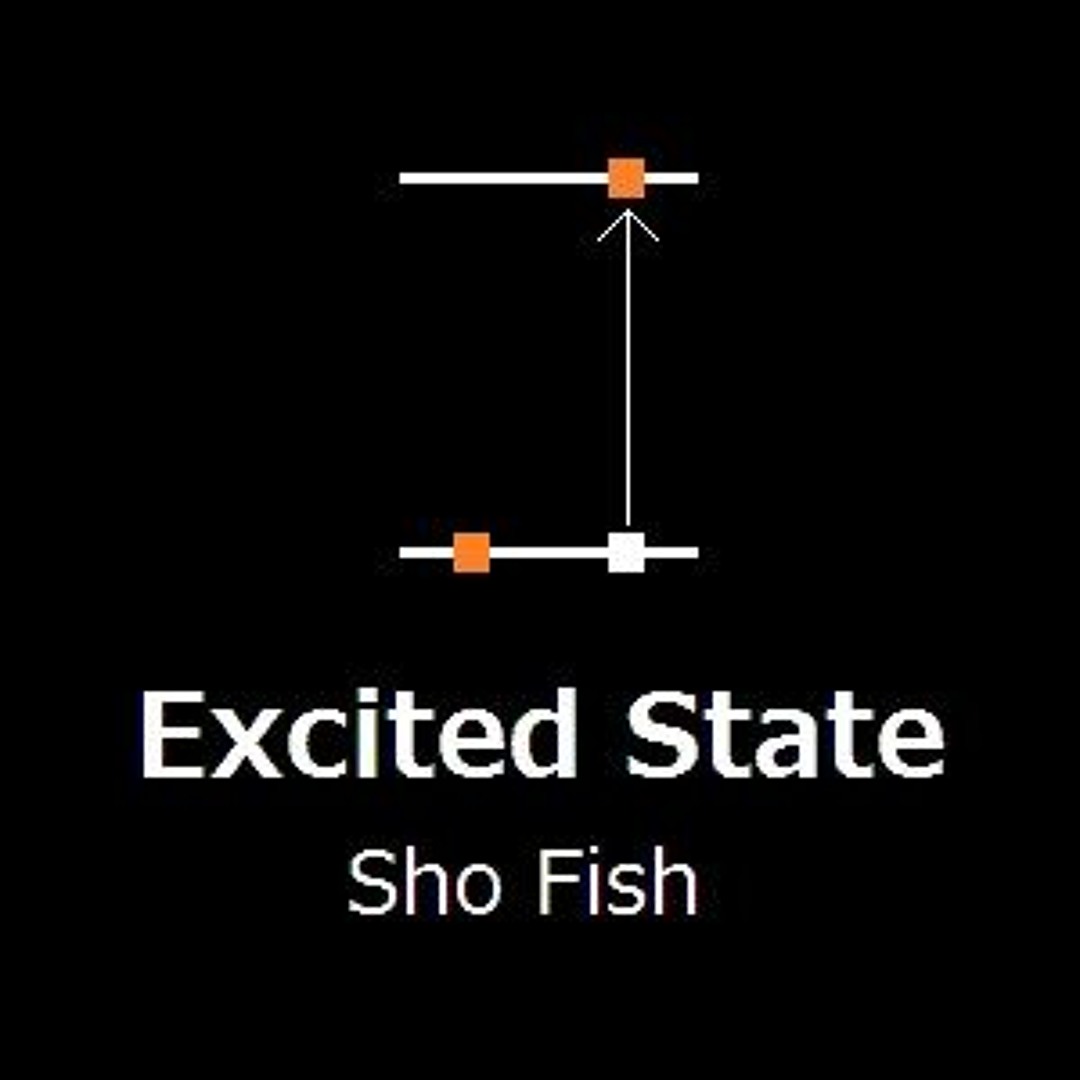 Stream Sho Fish - Excited State(Original Mix)[2014] by Sho_Fish ...