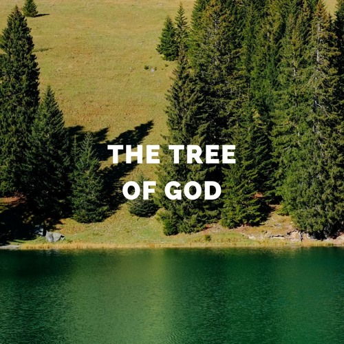Stream The Tree Of God by Bible Revelation Ministry | Listen online for ...