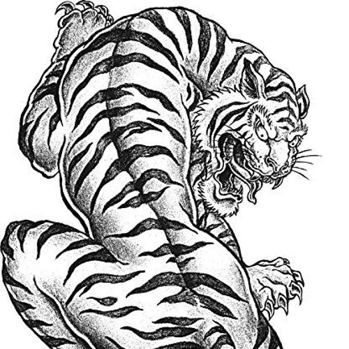 Stream Tiger Revolution by Joshua Page Lenihan | Listen online for free ...