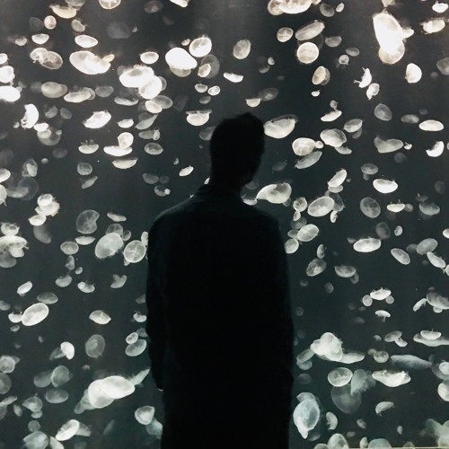 Stream Alex Doering | Listen to PODCASTS / all styles playlist online ...