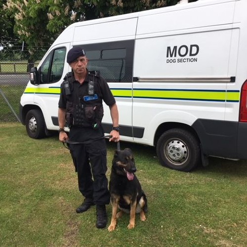 Stream Ministry of Defence Guard Service Dog Section by BFBS Aldershot ...