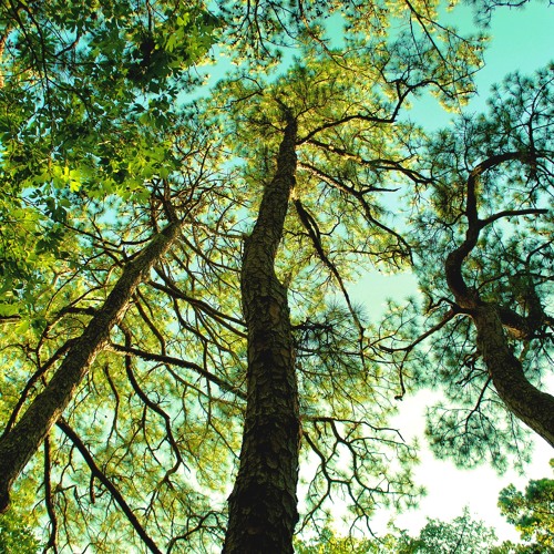 Stream Jordan Coss - "Erosion" by TapferJ | Listen online for free on ...