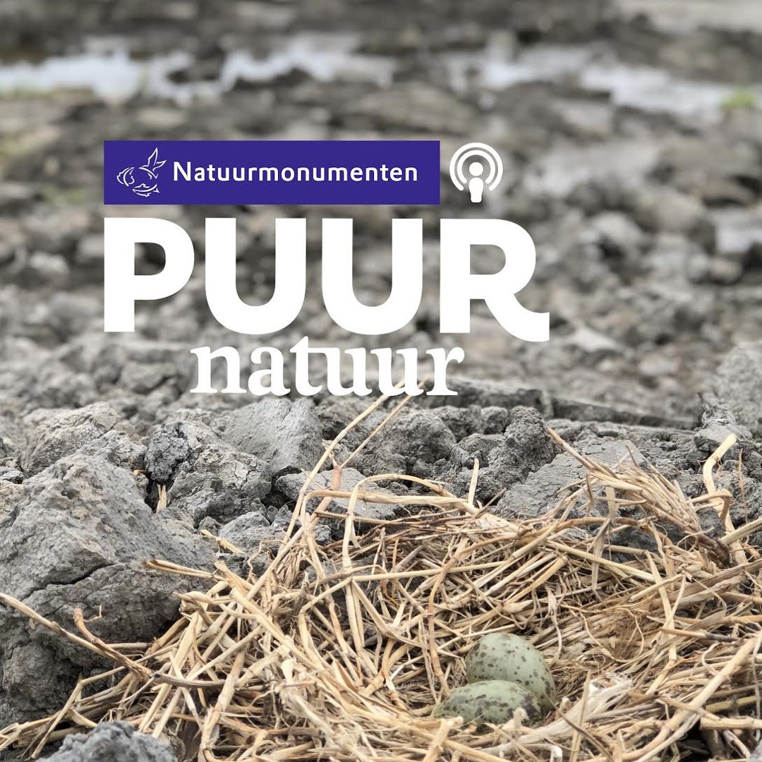 Stream Puur Natuur: André Donker over de Marker Wadden by Puur Natuur ...