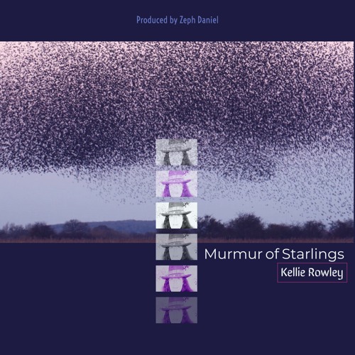 Stream Murmur of Starlings - Kellie Rowley, Prod. by Zeph Daniel by The ...