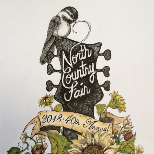 Stream 40th NCF Feature Part 3.2 - More Music from the Past and Present ...
