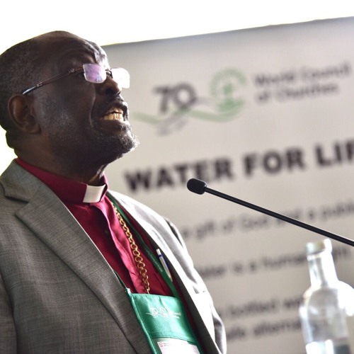 Stream Ecumenical Water Network: Bishop Arnold Temple urges everyone to ...