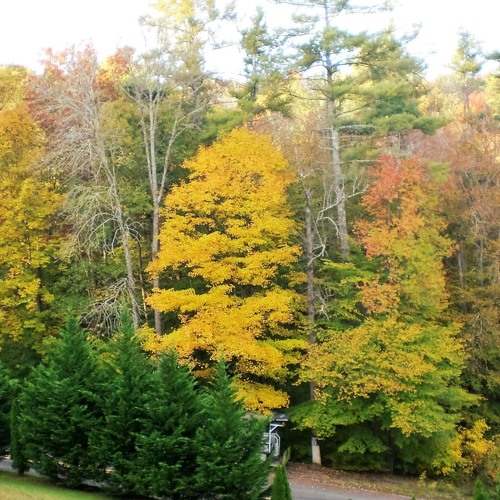 Stream Shiny Stockings by The Bob Strain Trio | Listen online for free ...