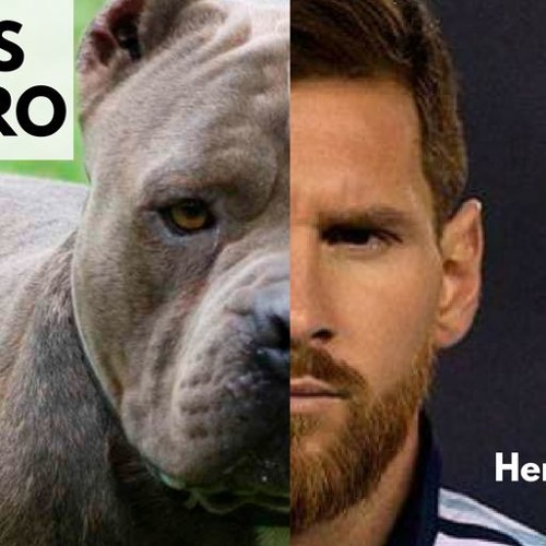 Stream Messi es un perro - Hernán Casciari by Leandro Frattesi | Listen ...