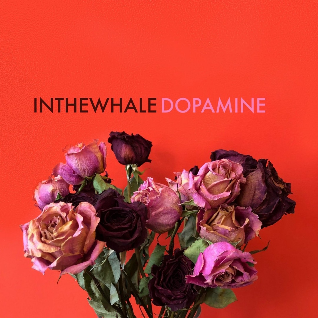 Stream INTHEWHALE | Listen to Dopamine playlist online for free on ...