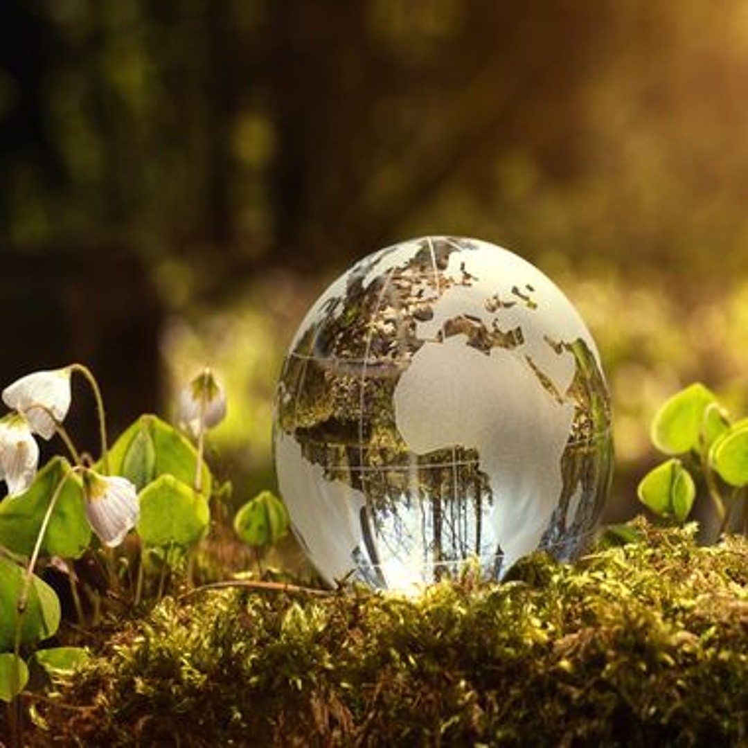 Stream The End of Secret Science and Carbon Colonialism (Guest: David ...