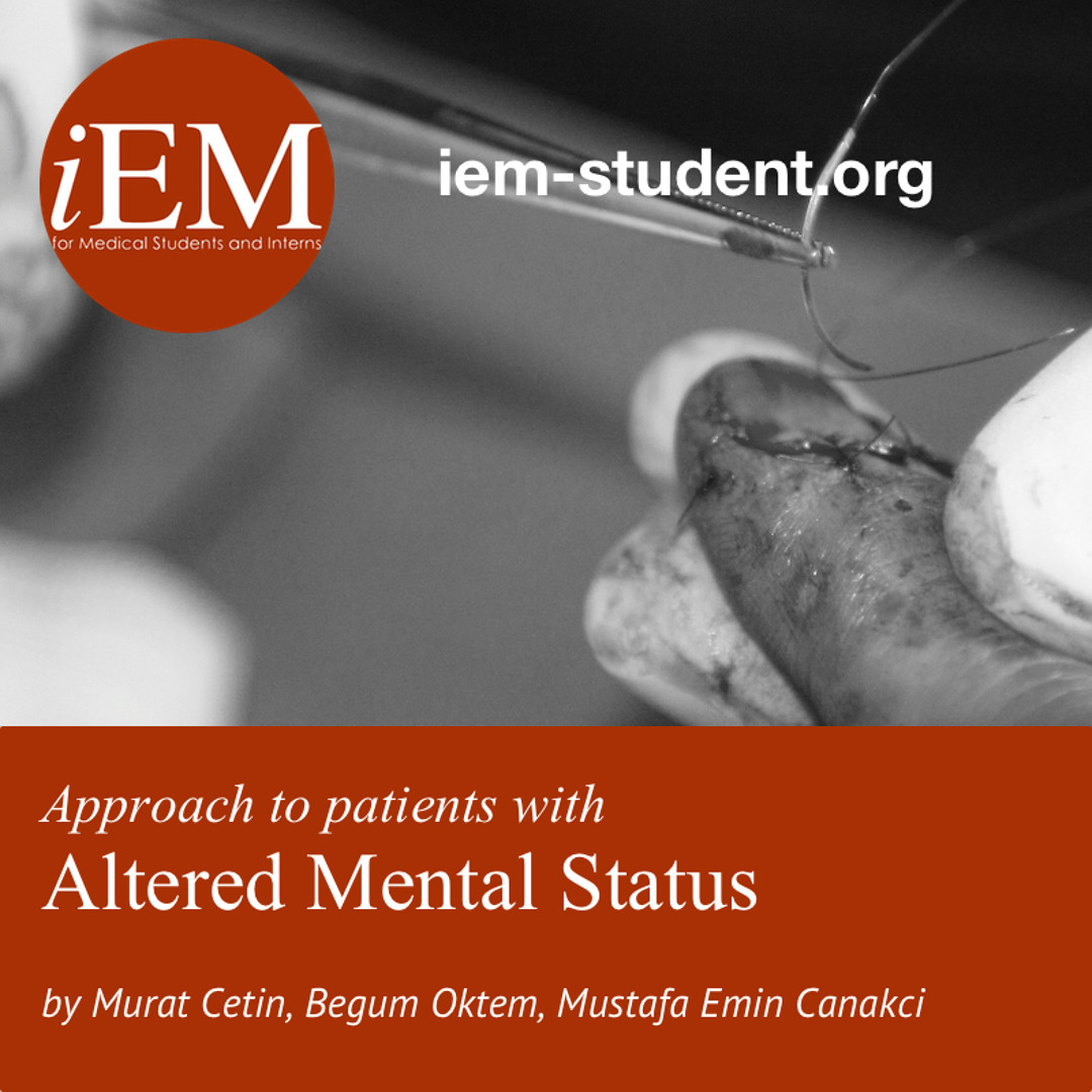 Stream IEM - AMS - Murat Cetin, Begum Oktem, Mustafa Emin Canakci from ...