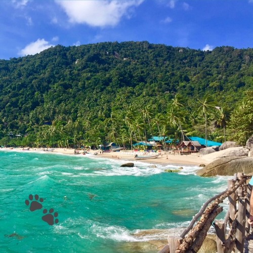 Stream KAT @ EDEN Garden Koh Phangan 16.06.18 by KAT | Listen online ...