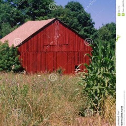 Stream Barnyard Shuffle by BONGO BILL | Listen online for free on ...