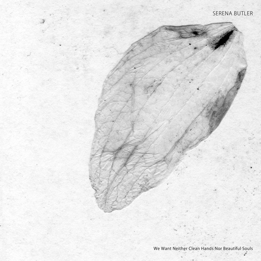 Stream B2 - Serena Butler - And With Fire Came Disparity [SA033] by ...