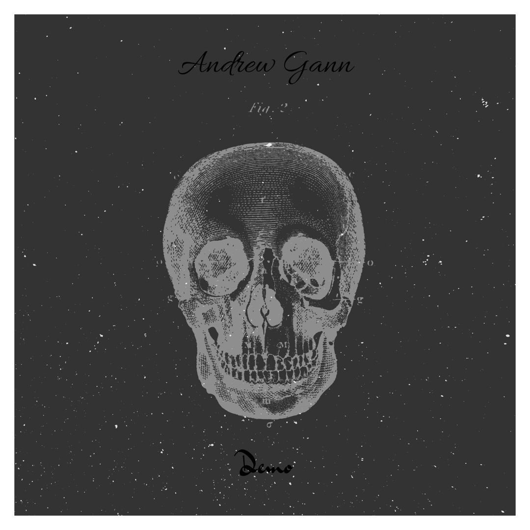 Stream Andrew Gann - Dying Anyway by Andrew A. Gann | Listen online for ...