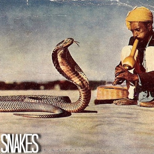 Stream SNAKES (PROD. SYNDROME) by Ranger Andy | Listen online for free ...