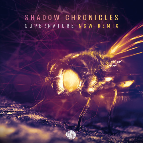 Stream Shadow Chronicles - Supernature (N & W Remix)- Out 13 July! by ...