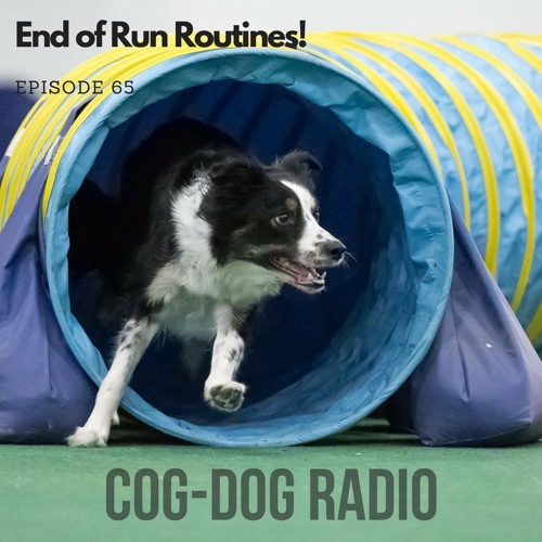 Stream End of Run Routines! by Cog-Dog Radio | Listen online for free ...