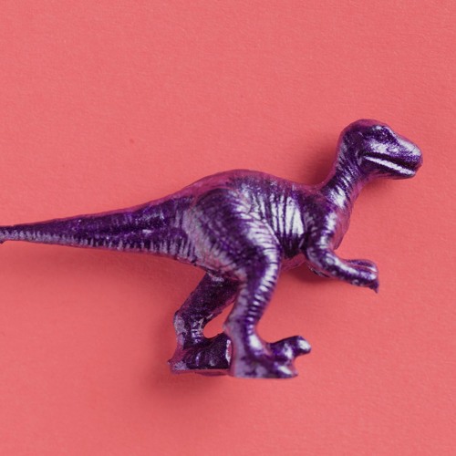 Stream Raptor by Ed Vos | Listen online for free on SoundCloud