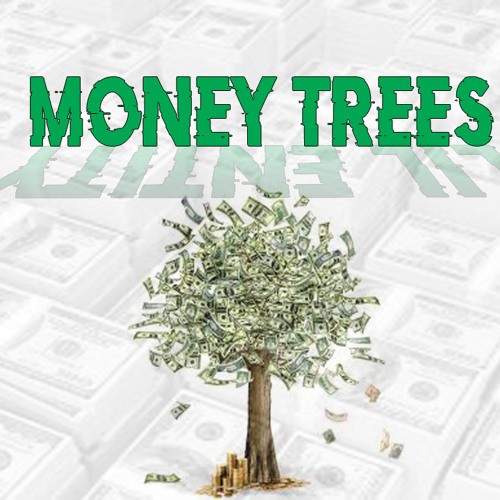 Stream Money Trees by Lil Entity | Listen online for free on SoundCloud